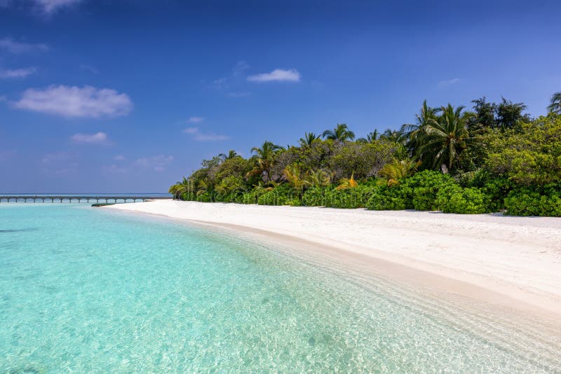 Tropisk Paradisstrand I Maldiverna Fotografering för Bildbyråer - Bild ...
