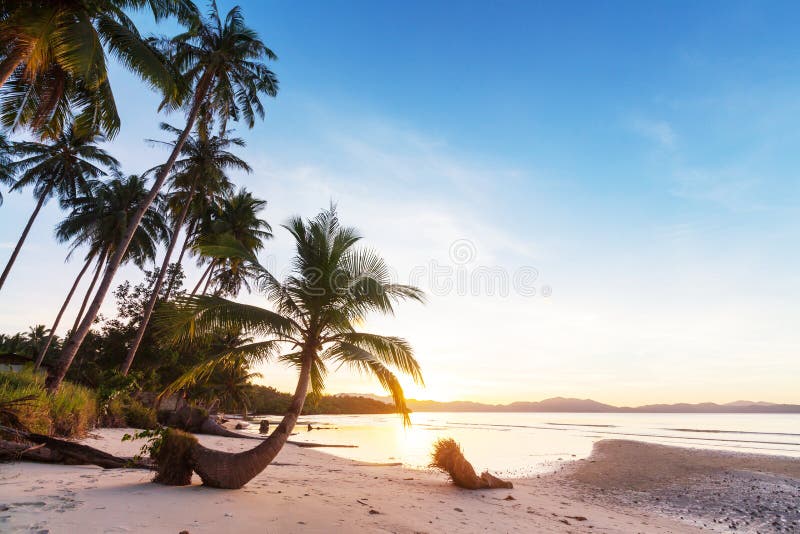 Tropisk strand fotografering för bildbyråer. Bild av kust - 91406703