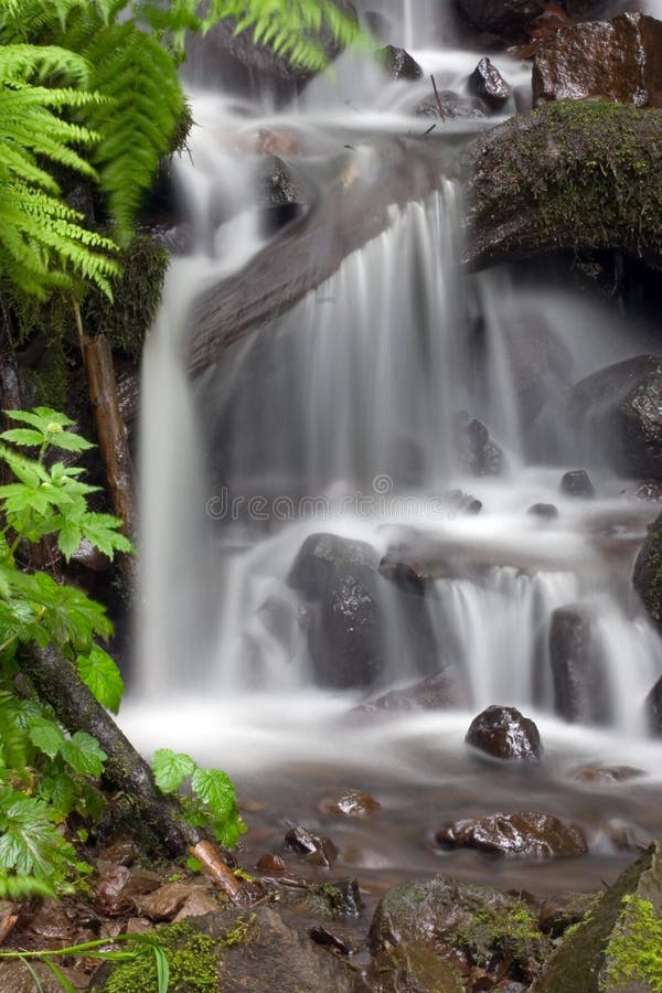 Tropisk vattenfall fotografering för bildbyråer. Bild av vatten - 127109