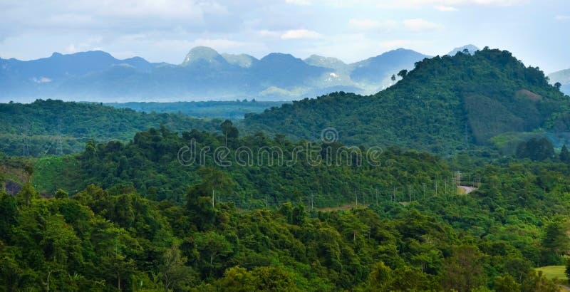Tropiska Regnskogar, Ratchapraph En Nationalpark Arkivfoto - Bild av ...