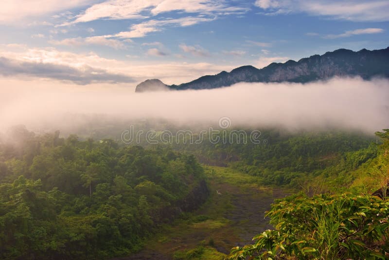 Tropiska Regnskogar, Ratchapraph En Nationalpark Arkivfoto - Bild av ...