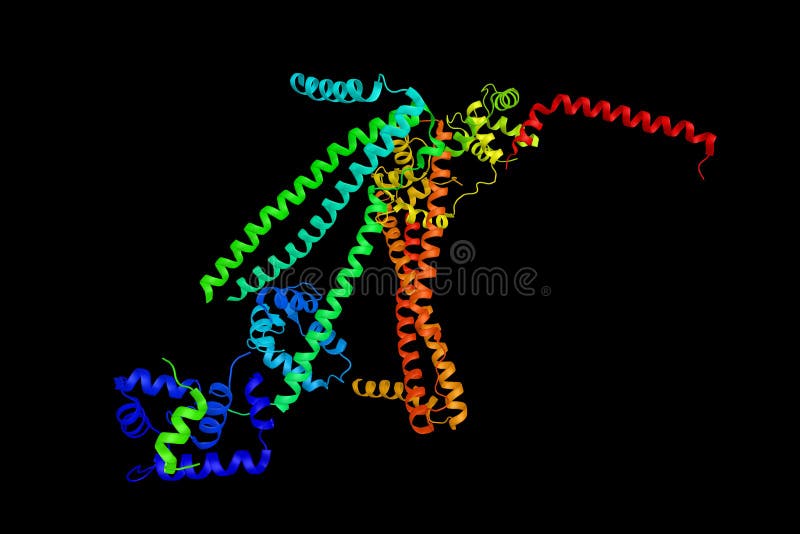 Troponine (structure 3d), Un Marqueur Diagnostique Et Un Complexe De Th ...