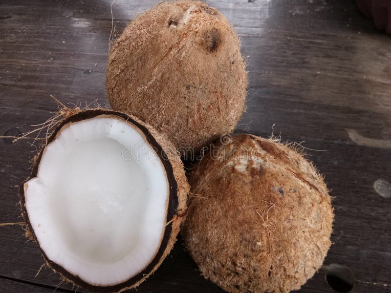 Tropycal fruit coconut stock photo. Image of temple - 206117906