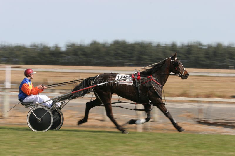 Trotting horse stock image. Image of course, track, zealand - 1514863