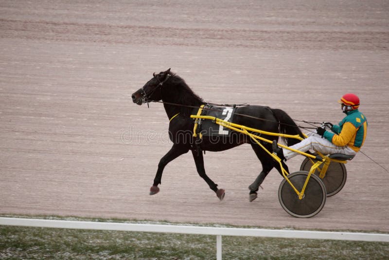 Trotto Del Cavallo Che Corre Sull'ippodromo Di Mosca Immagine ...