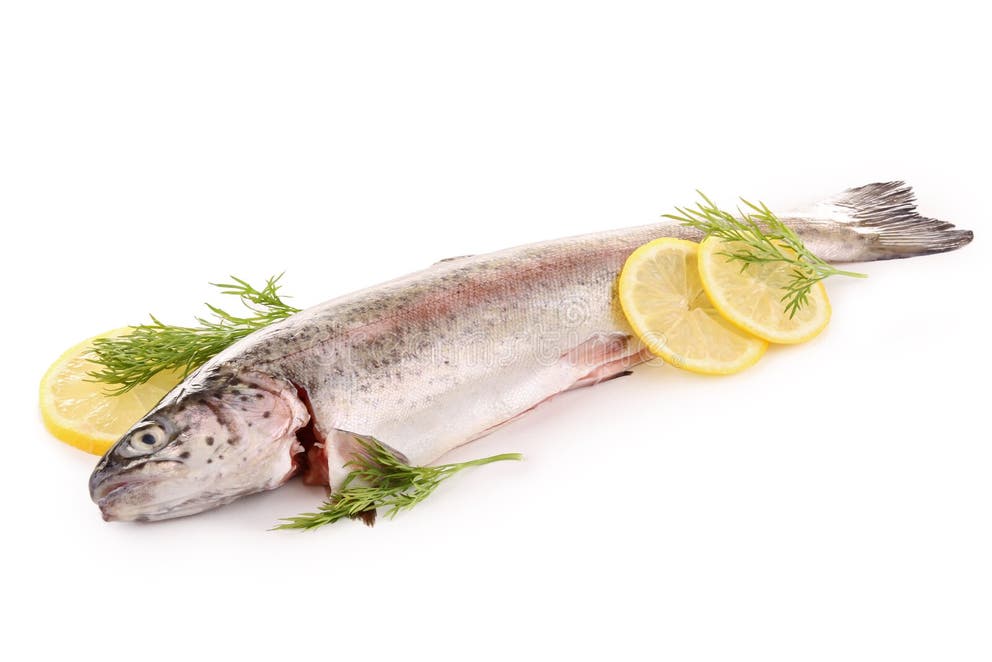 Trout stock photo. Image of fish, nutrition, white, fillet - 22878766