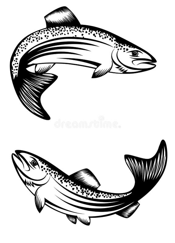Trout Swimming Stock Illustrations – 17,331 Trout Swimming Stock ...