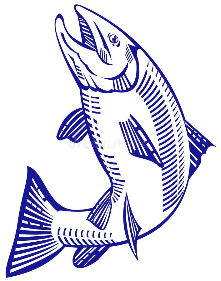 Speckled Sea Trout Vector Stock Illustrations – 8 Speckled Sea Trout ...