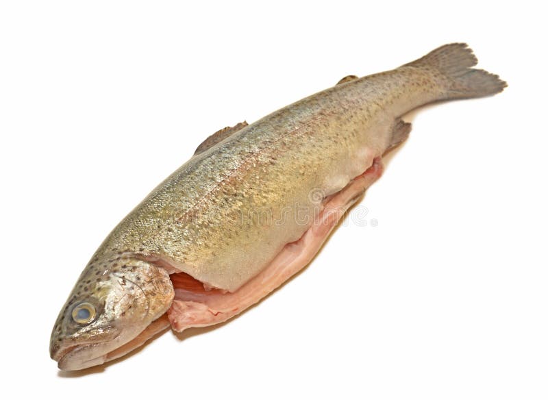 164 Eviscerated Fish Stock Photos - Free & Royalty-Free Stock Photos ...