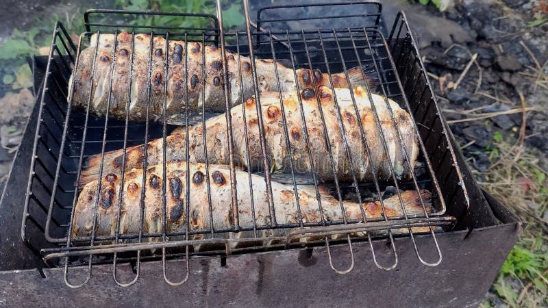 Trout Fish Fried on a Grill on a Fire Stock Footage - Video of cooking ...