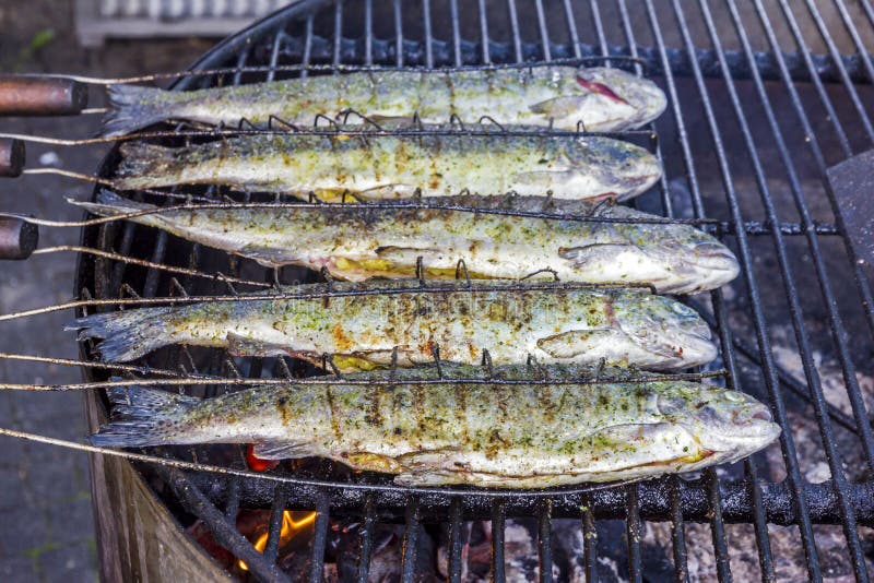 Trout fish on grill stock photo. Image of door, barbeque - 42666778