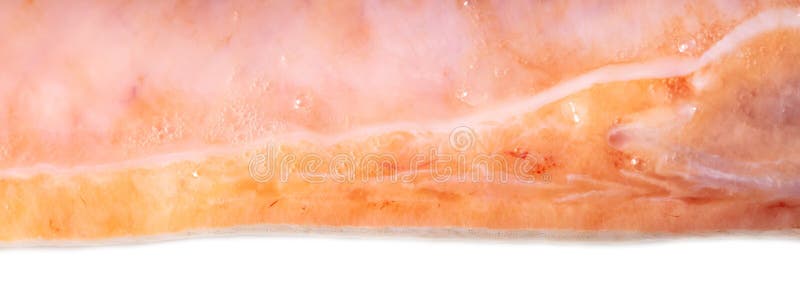 Trout Fish Meat on White Background Stock Photo - Image of eating ...