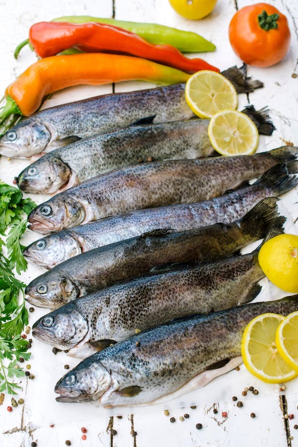 Trout fish stock photo. Image of gourmet, lemon, fish - 57412908
