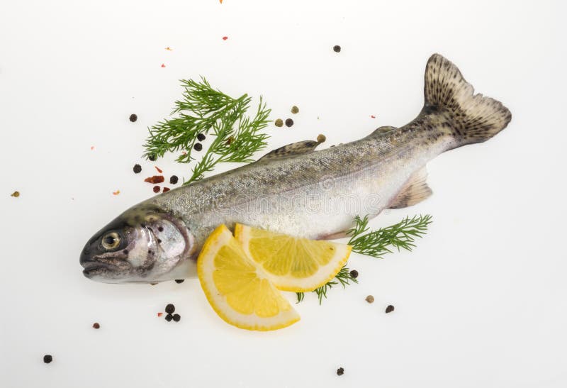 Trout Fish with Spices Top View Stock Photo - Image of fishing ...