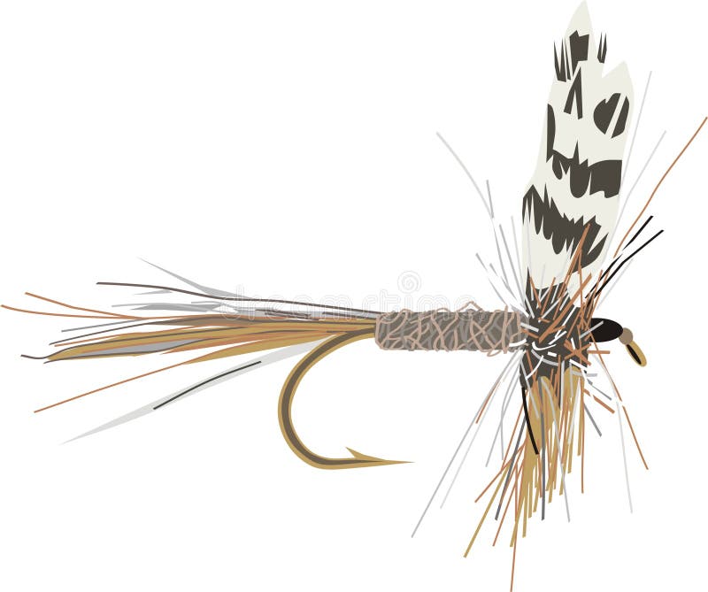 Detailed Fishing Fly stock vector. Illustration of lure - 5742844