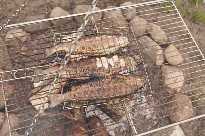 Trout Grilled on Campfire stock image. Image of delicious - 20134703