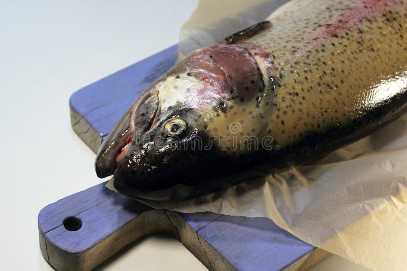 Trout gutted stock image. Image of caviar, ecology, cutting - 64667875