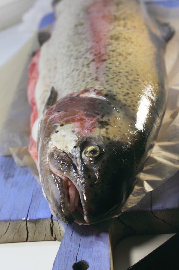Trout gutted stock image. Image of caviar, cook, board - 64668035