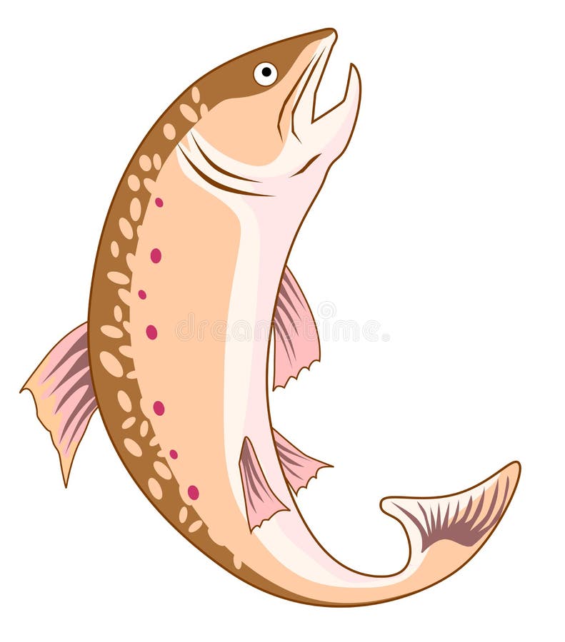 Trout leaping out of water stock vector. Illustration of sport - 2763984