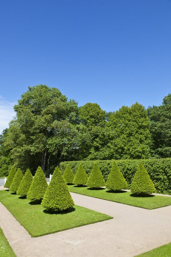 Row of Aligned Branchless Trees in Green Park Stock Photo - Image of ...