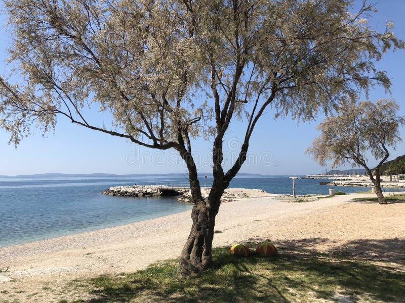 Znjan Beach Stock Photos - Free & Royalty-Free Stock Photos from Dreamstime