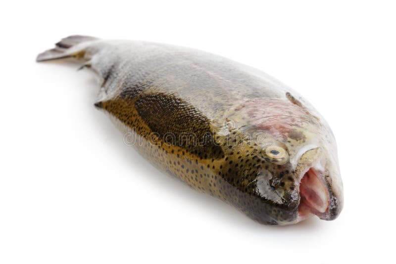 Trucha entera fresca foto de archivo. Imagen de cubo - 36792324
