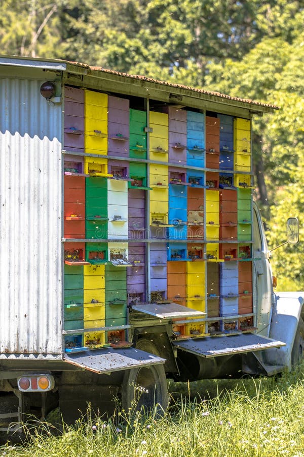 Truck with beehives stock photo. Image of natural, countryside - 306153296