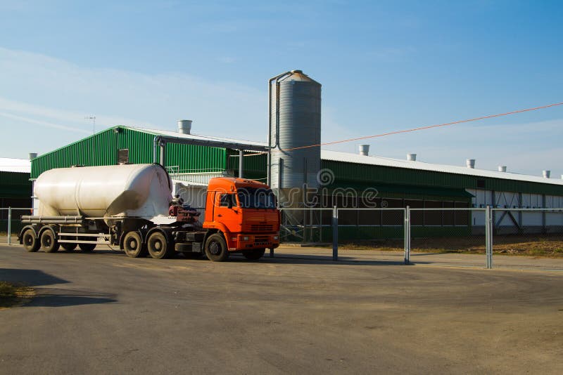 Truck on a chicken farm stock photo. Image of business - 48990010