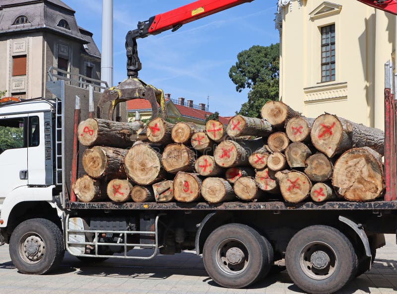 Truck with Crane and Tree Logs Stock Image - Image of large, crane ...