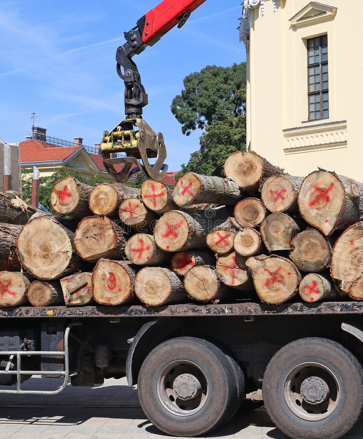 Truck with Crane and Tree Logs Stock Photo - Image of group, loading ...