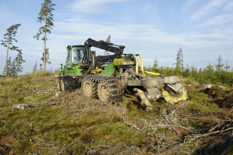 Truck and forest clearing stock image. Image of clearing - 16479931