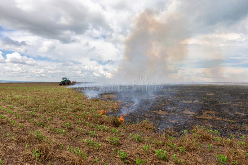 Putting Out the Fire stock image. Image of firehose, flames - 2450237