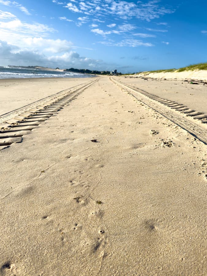 Truck Tracks on the Beach Sand Stock Photo - Image of coast, beach: 382536602
