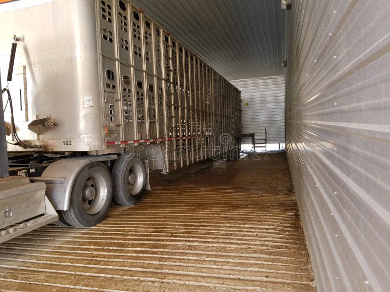 Truck trailer stock photo. Image of wheeler, truck, inside - 123404236