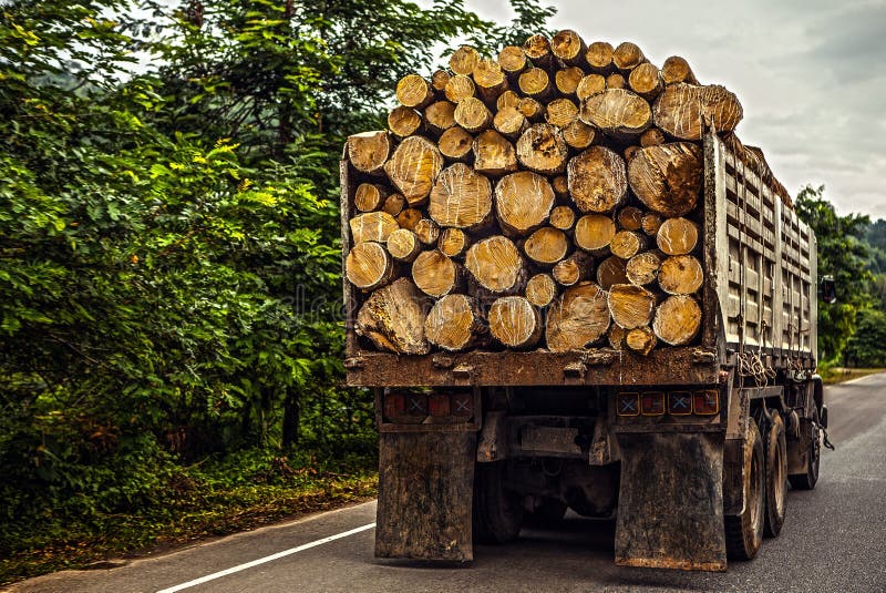 Logging truck logs at mill stock image. Image of trees - 32817811
