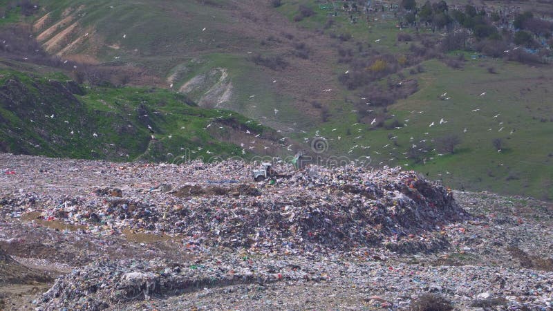 A Dump Where Food Waste is Dumped, a Landfill or Trash Pile, Pollution ...