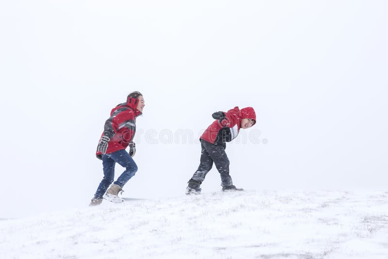 Trudging Along in the Snow. Stock Image - Image of winter, nature: 38210649