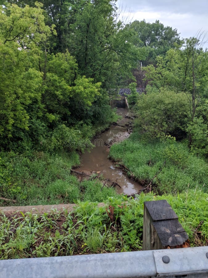 True Beauty stock photo. Image of nature, beauty, prime - 119509034