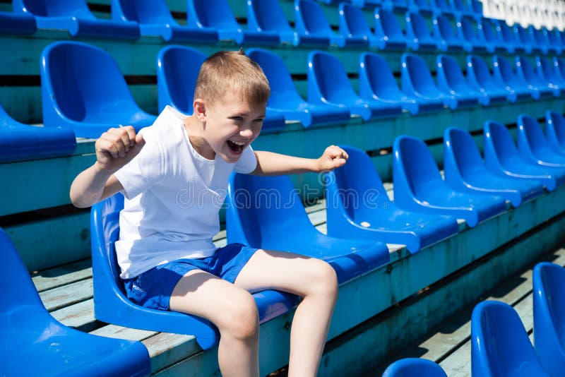 True fan. stock photo. Image of exercise, outside, tribune - 32957202