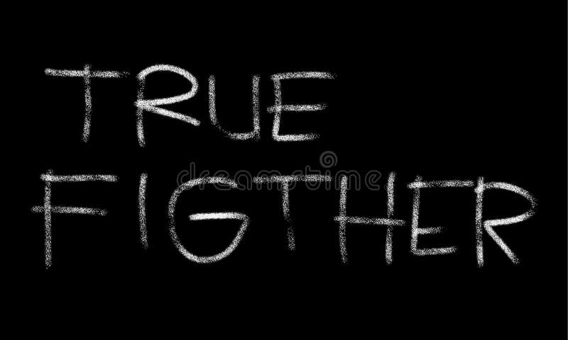 True Fighter stock image. Image of improvement, active - 238874667