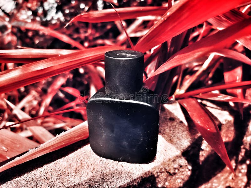 True Fragrance Doesn’t only Come from a Bottle, but from the Harmony ...