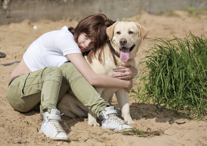The true friend stock image. Image of favourite, labrador - 26417737
