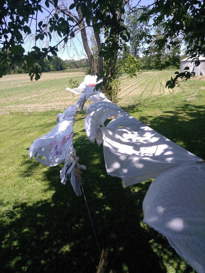 Truer Movement Stock Photos - Free & Royalty-Free Stock Photos from ...