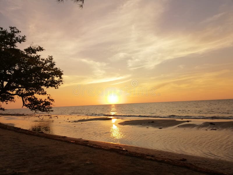 True Natural Texture of Pine Bark. Pine Background. Abstract Texture ...