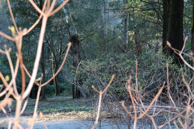 True Nature stock photo. Image of helps, nature, love - 98112536