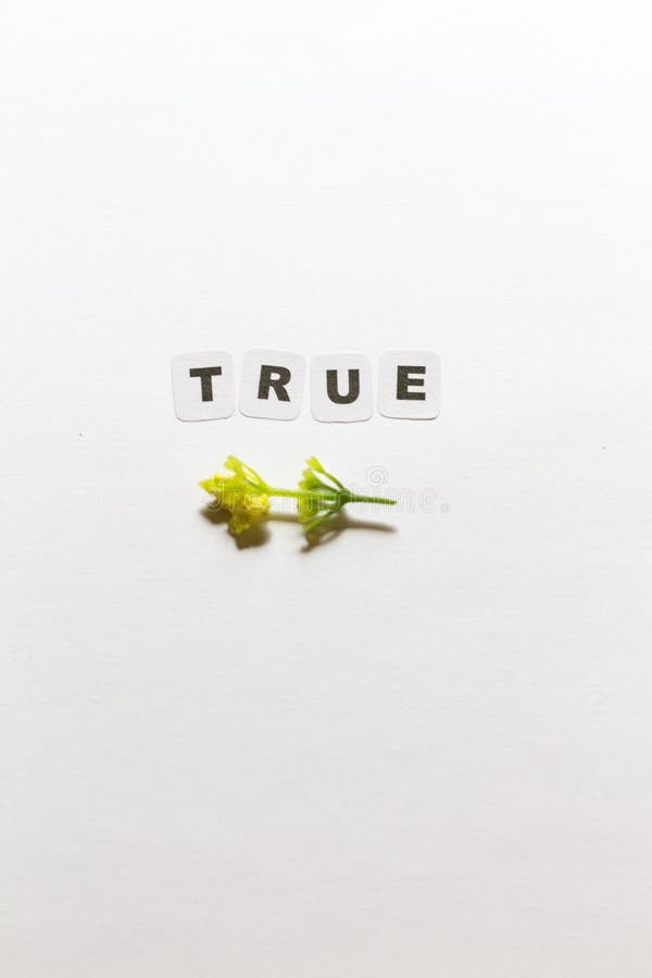 True, Word As a Banner Heading Stock Image - Image of accepted ...