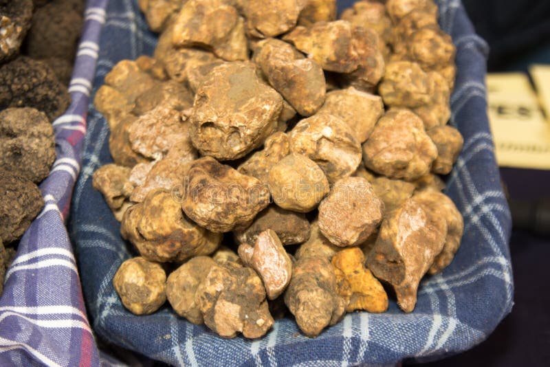 Trufa Italiana foto de archivo. Imagen de sangriento - 46159674