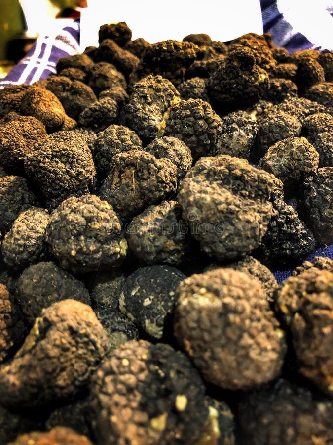 Trufa preta foto de stock. Imagem de branco, trufa, fresco - 104727384