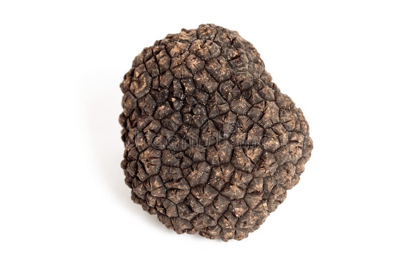 Trufa preta foto de stock. Imagem de cheiro, exclusivo - 87319066