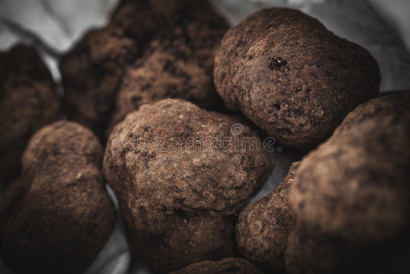 Perfumado Mais Dos Cogumelos, a Trufa Preta Francesa Imagem de Stock ...